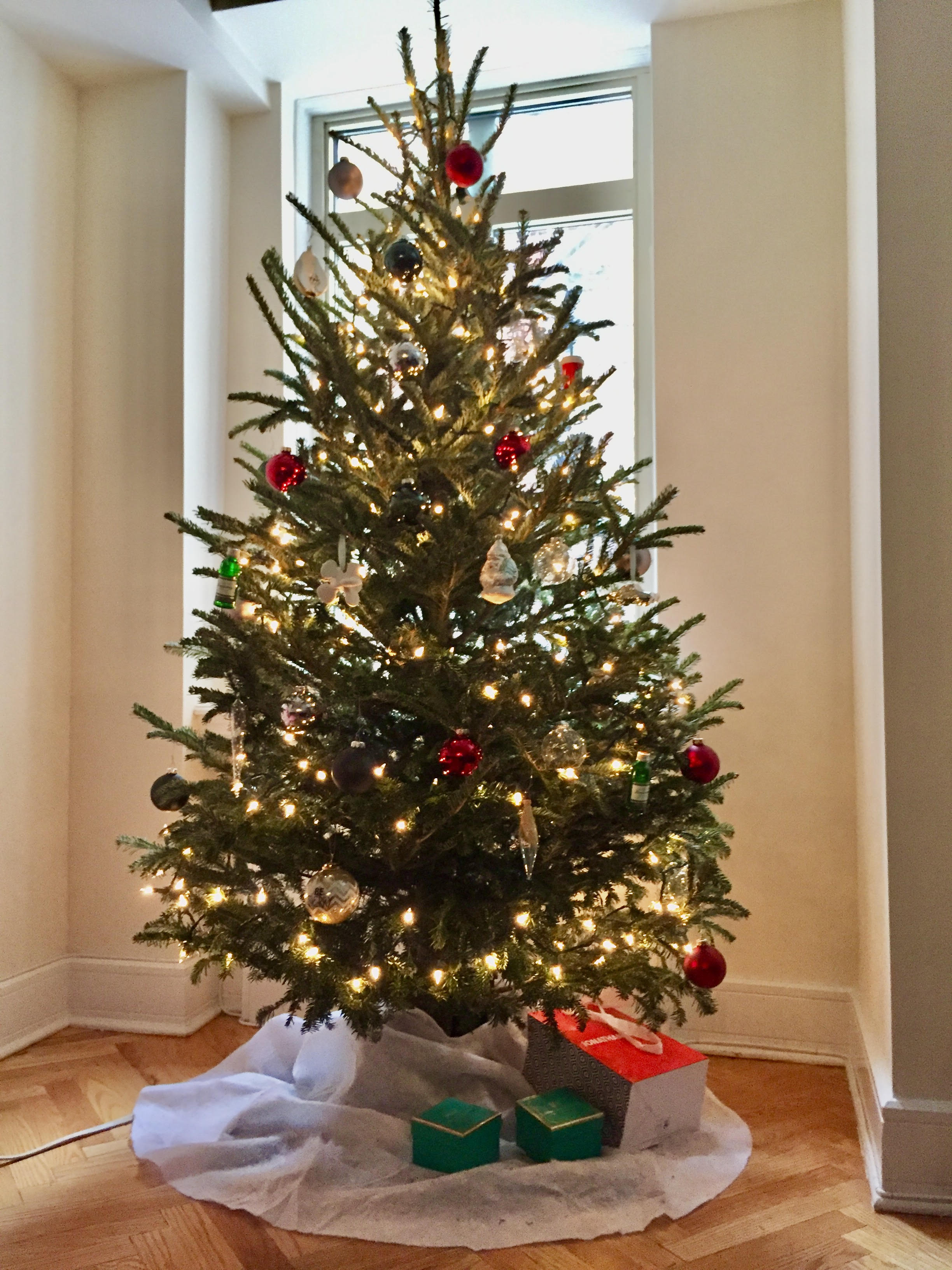 4th Annual Tree Gang – Curating Aspects